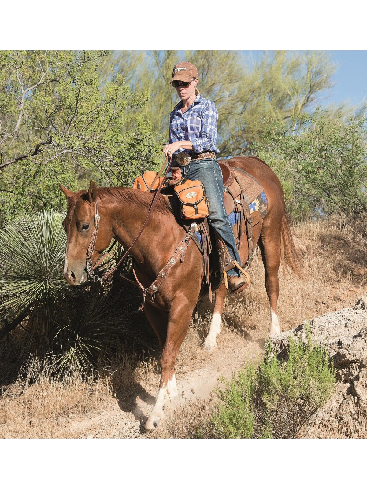 Weaver Leather Western Edge Sliding Ear Headstall 10-0525